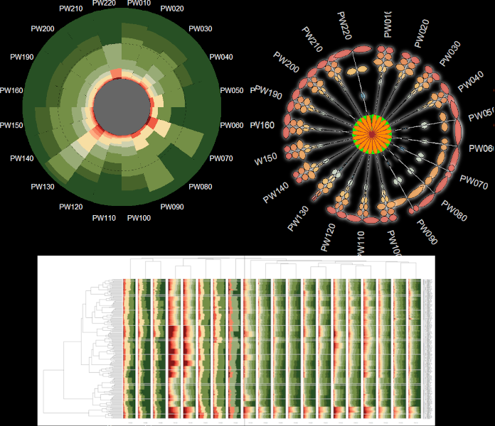 Visualizing Multidimensional Distributional data: some new tools